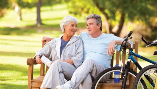 Halifax Intermediaries makes rate changes, Precise adds new products ...